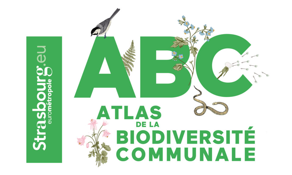 ABC’Days – Sur la piste du Castor – GEPMA